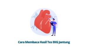Cara Membaca Hasil Tes EKG Jantung - Primaya Hospital