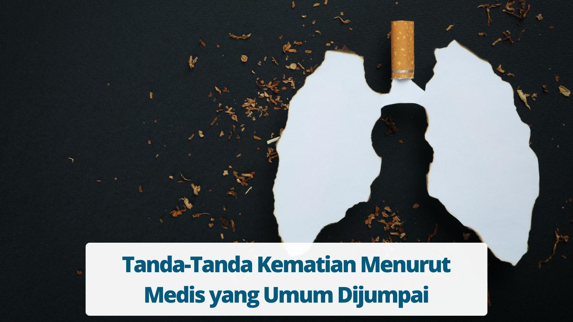Bagi makhluk hidup, kematian adalah pengalaman yang tak terhindarkan ...