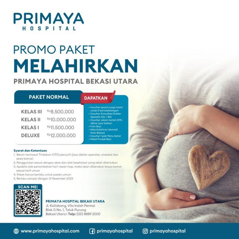 Polycystic Ovarian Syndrome (PCOS): Gangguan Hormon Wanita