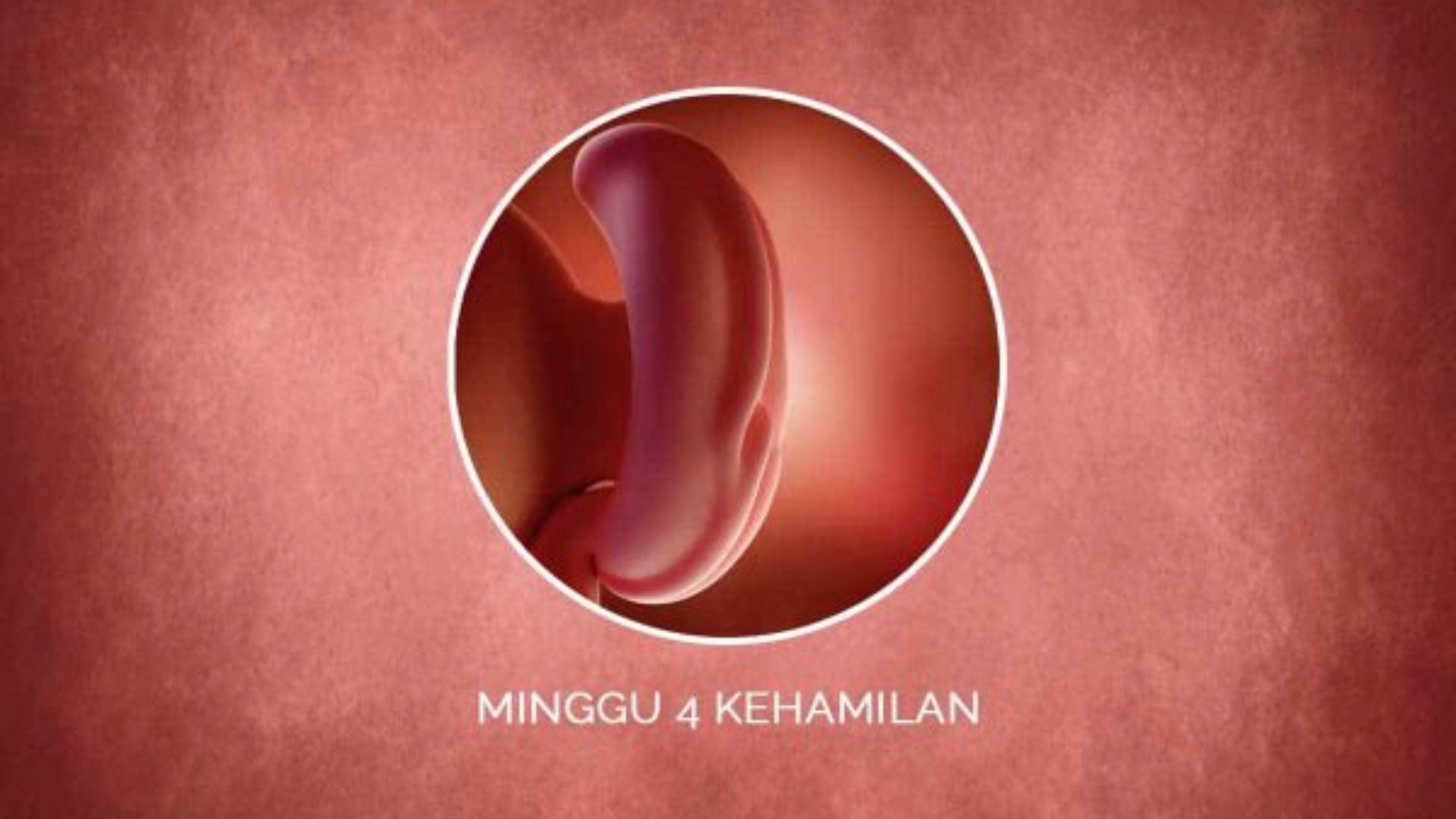 Memasuki Kehamilan 4 Minggu? Perhatikan Hal-Hal Ini! - Primaya Hospital